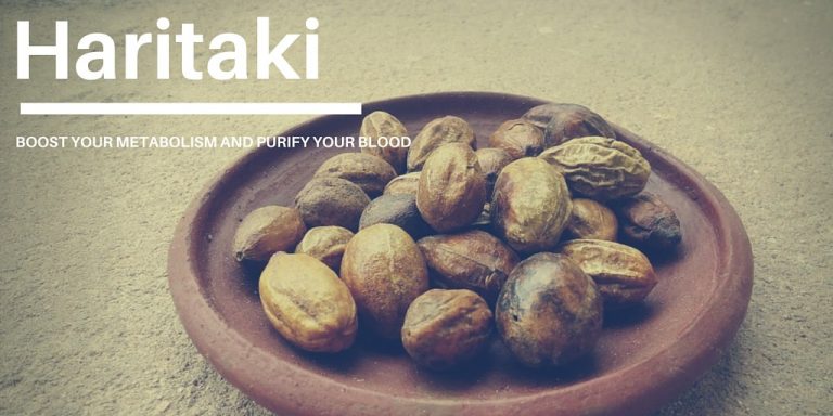 Haritaki: 12 Major Health Benefits (Latest Findings) - urbol.com