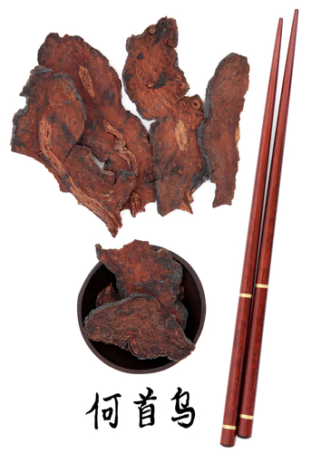 He Shou Wu Top 8 Benefits [UPDATED] - urbol.com