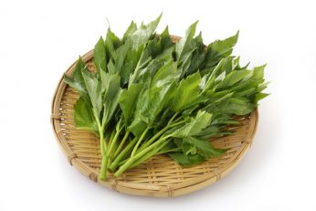 Ashitaba Benefits [A Comprehensive New Guide] - urbol.com